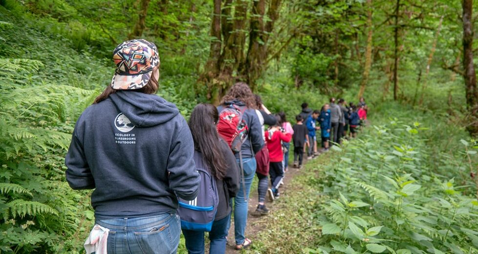 Ecology in Classrooms & Outdoors—Connect Students With Nature