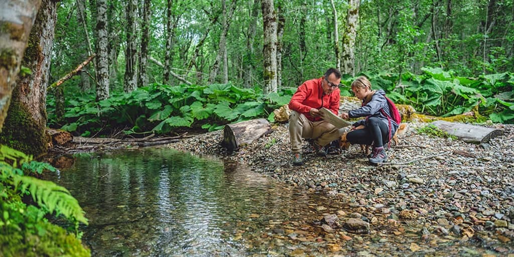Oregon Environmental Council—Finding smart and sustainable solutions ...